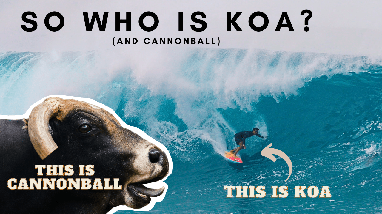 Who Is Koa? Profile Video. – T&C Surf Designs